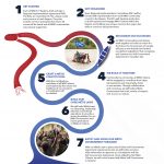 Self-Government - Métis Nation of Ontario