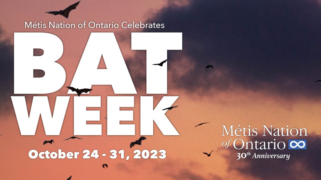 Bat Week 2023 - October 24 - 31 - Métis Nation of Ontario